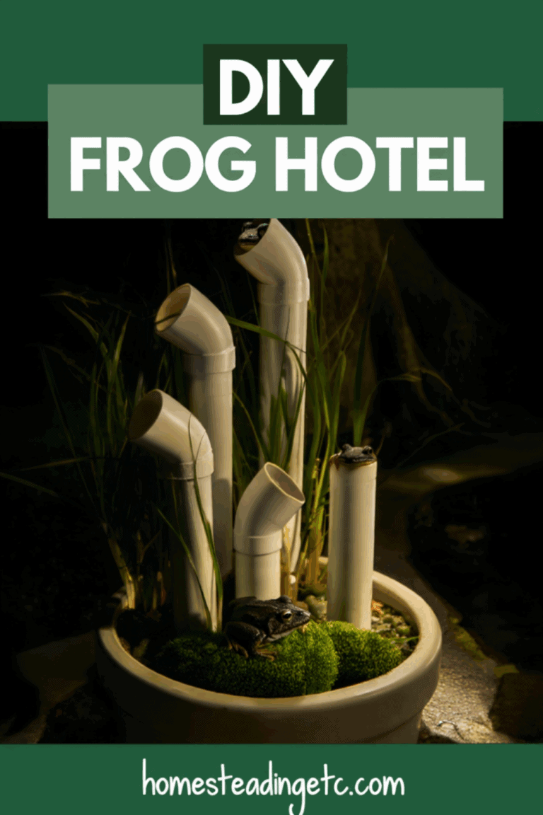 Make a DIY Snake-Proof Frog Hotel Using Things You Already Have — It’s ...