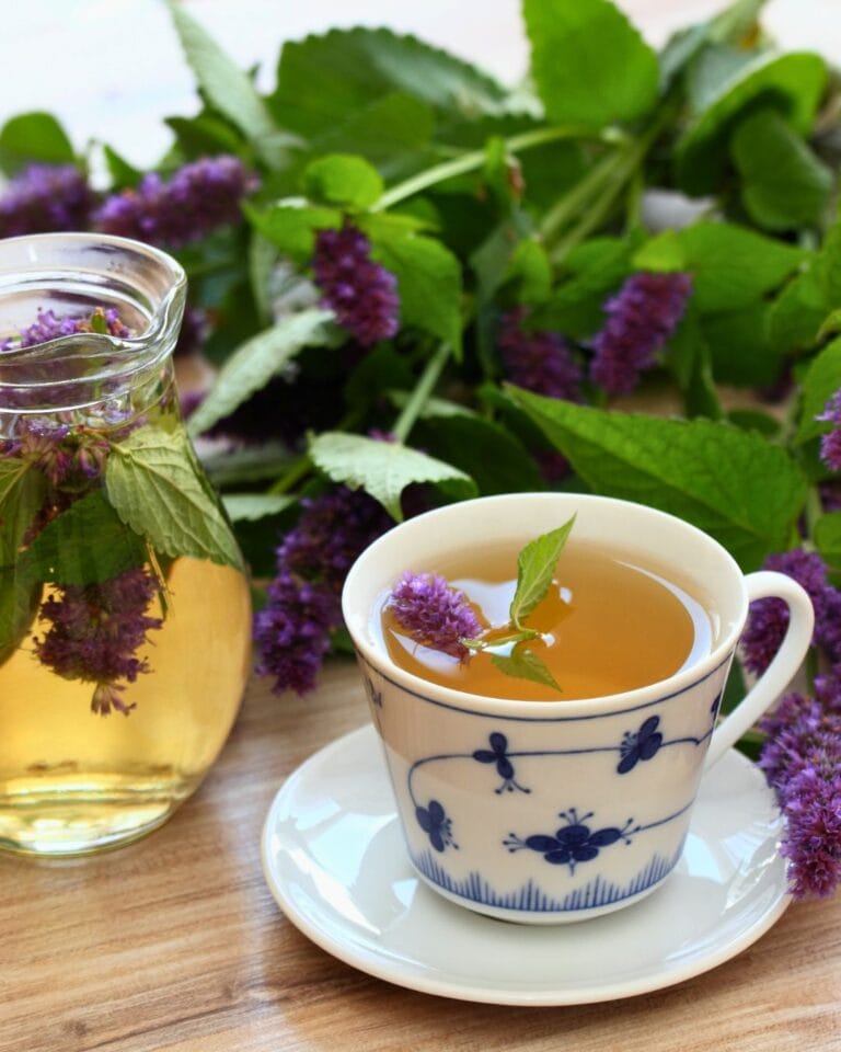 8 Reasons Why Every Gardener MUST Grow Anise Hyssop Plus Creative Ways ...