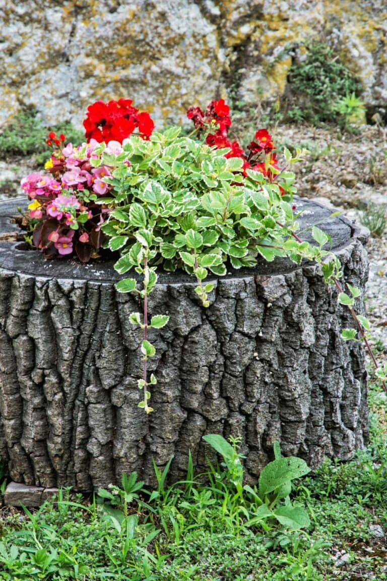 23 Creative Tree Stump Garden Decor Ideas to Spark Your Imagination