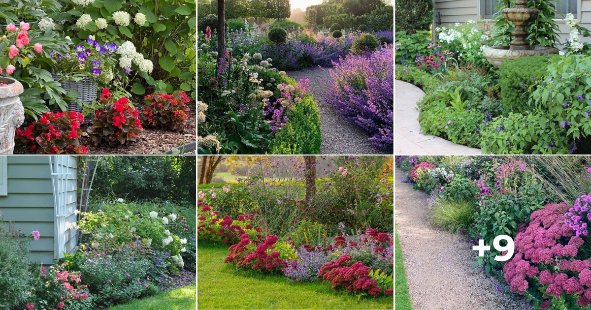 15 Edging Plants for Your Garden Borders, Whether in Sun or Shade