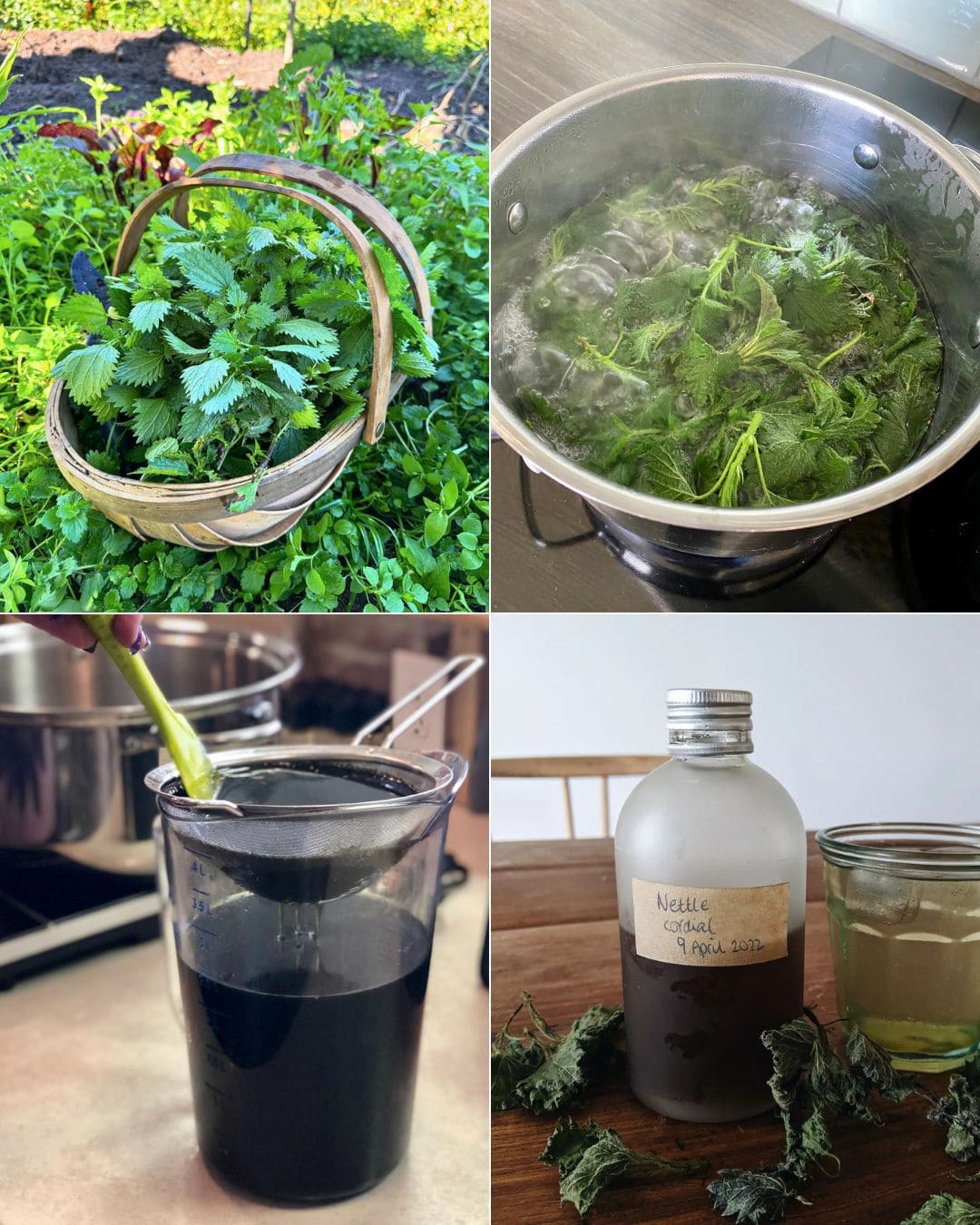 Stinging Nettle-Ade (Sugar-Free Nettle Iced Tea): A Refreshing and ...