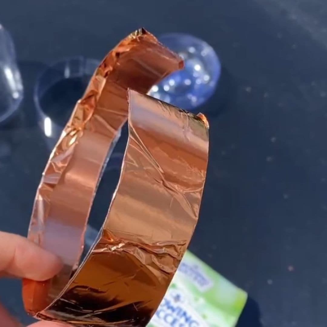 How To Make & Use Slug and Snail Barrier Collar