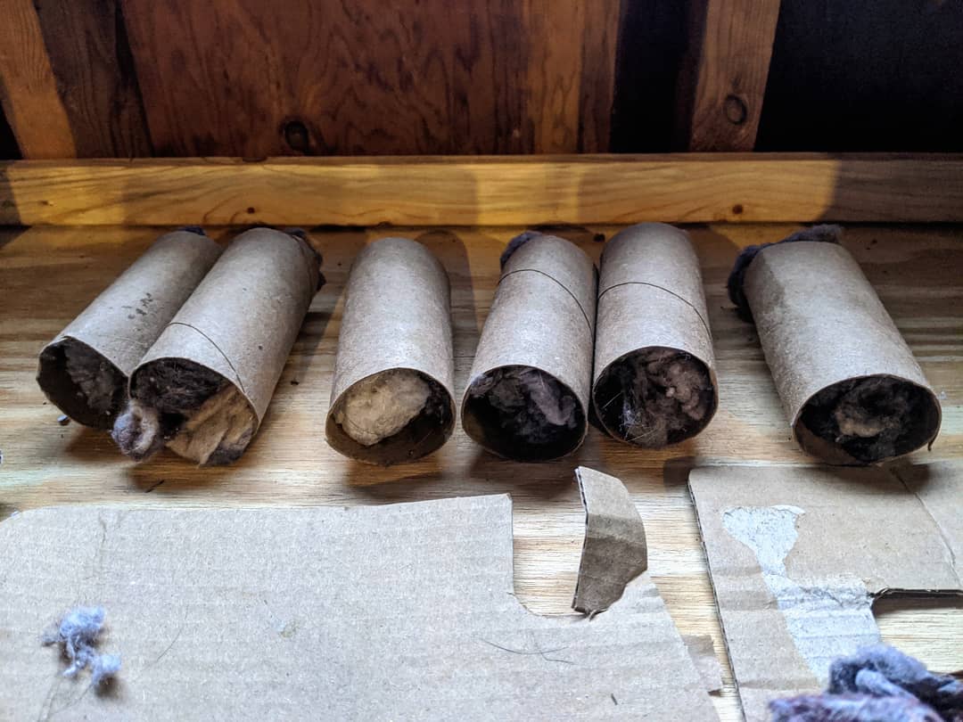 DIY Tick Tubes To Protect Your Yard from the Tiny Bloodsuckers!