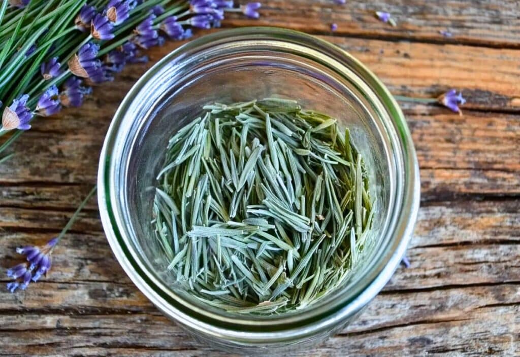 12 Cool Uses for Lavender Leaves You Need to Try!