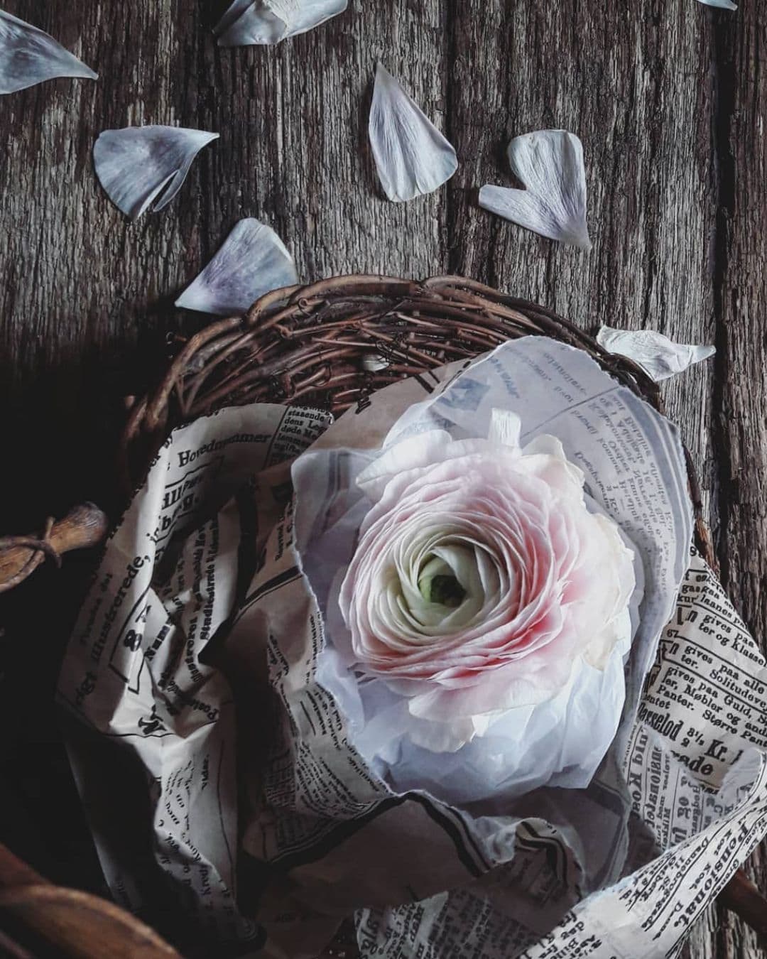 8 Ways to Dry Flowers While Preserving Their Vibrant Petals Intact