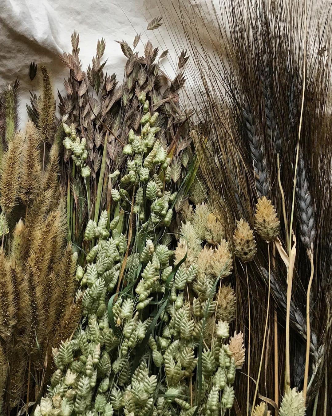 8 Ways to Dry Flowers While Preserving Their Vibrant Petals Intact