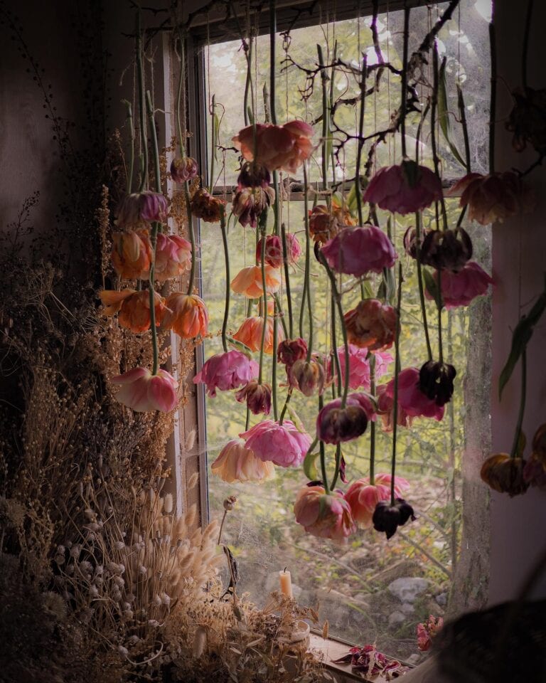 8 Ways to Dry Flowers While Preserving Their Vibrant Petals Intact