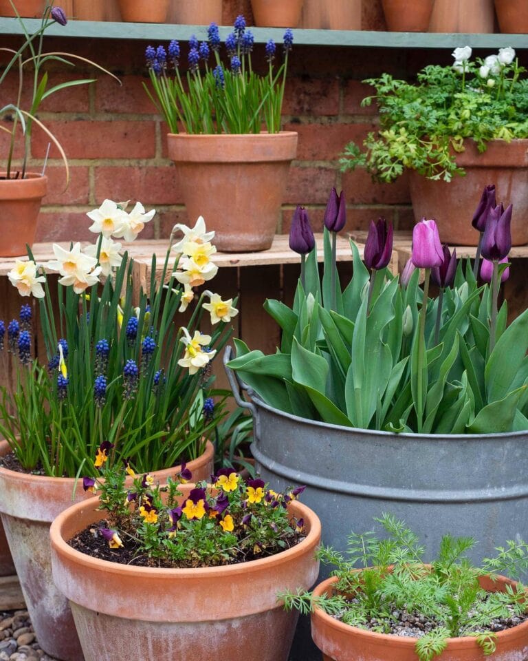 34 Colorful Spring Container Garden Ideas To Brighten Your Front Porch