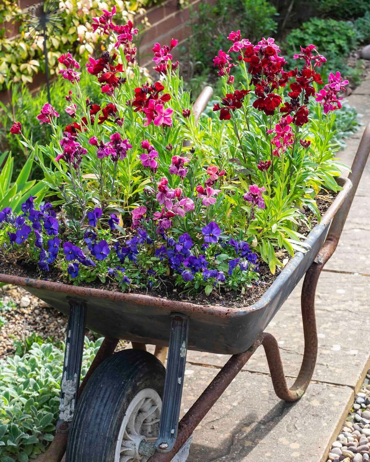 34 Colorful Spring Container Garden Ideas To Brighten Your Front Porch