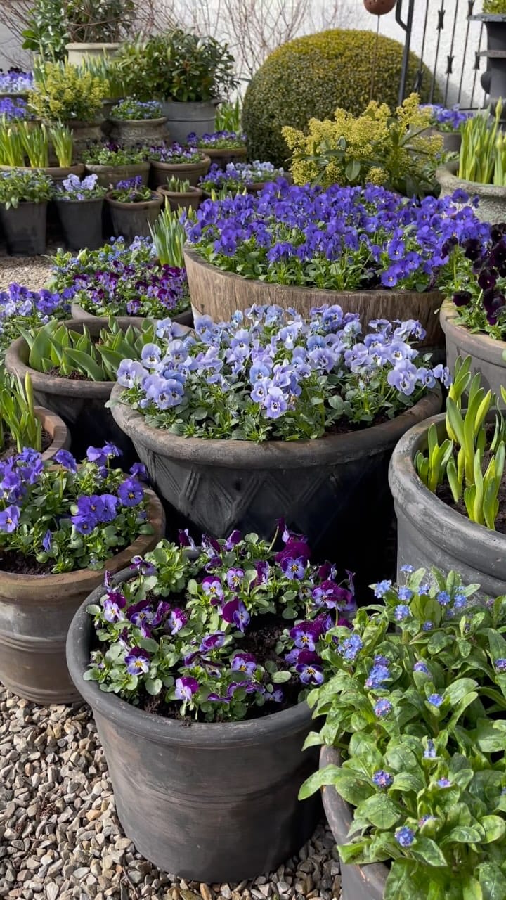 34 Colorful Spring Container Garden Ideas To Brighten Your Front Porch