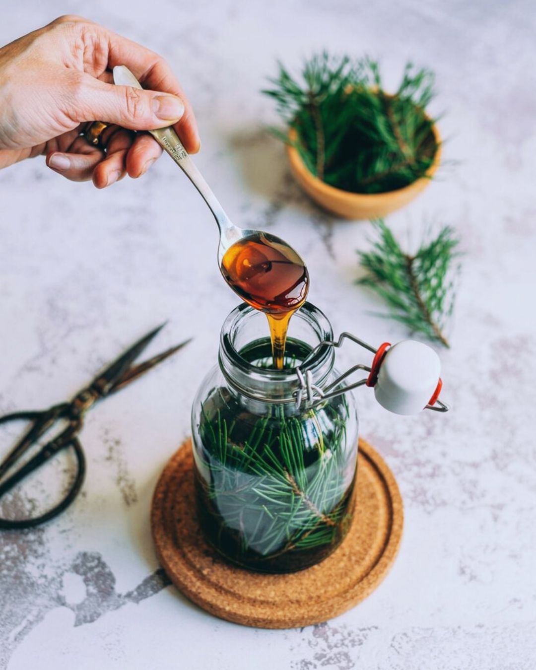 Pine Needle Soda: Make Wild Fermented Fizzy Drink with Pine Needles