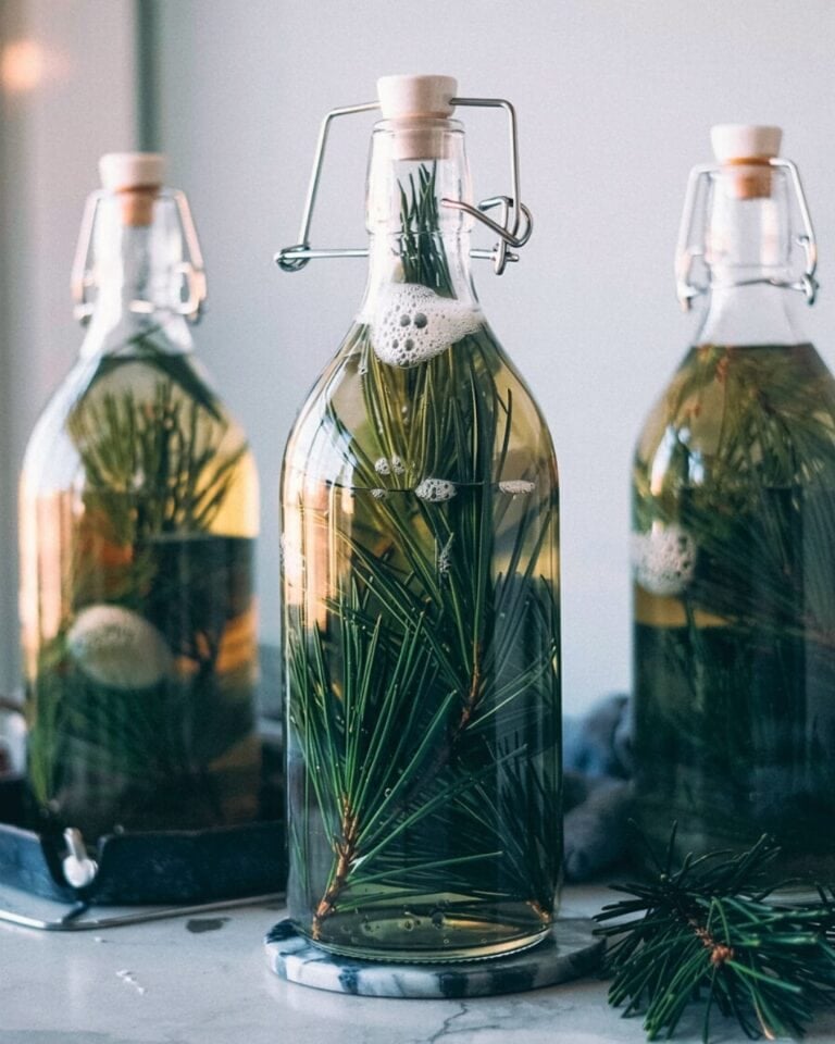 Pine Needle Soda: Make Wild Fermented Fizzy Drink with Pine Needles